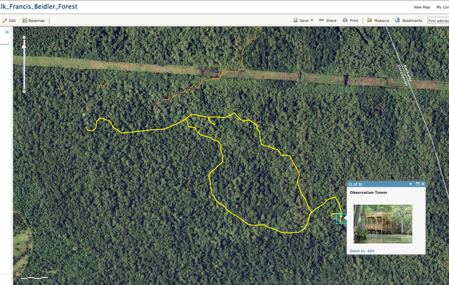 Audubon Center & Sanctuary at the Francis Beidler Forest | Audubon South Carolina