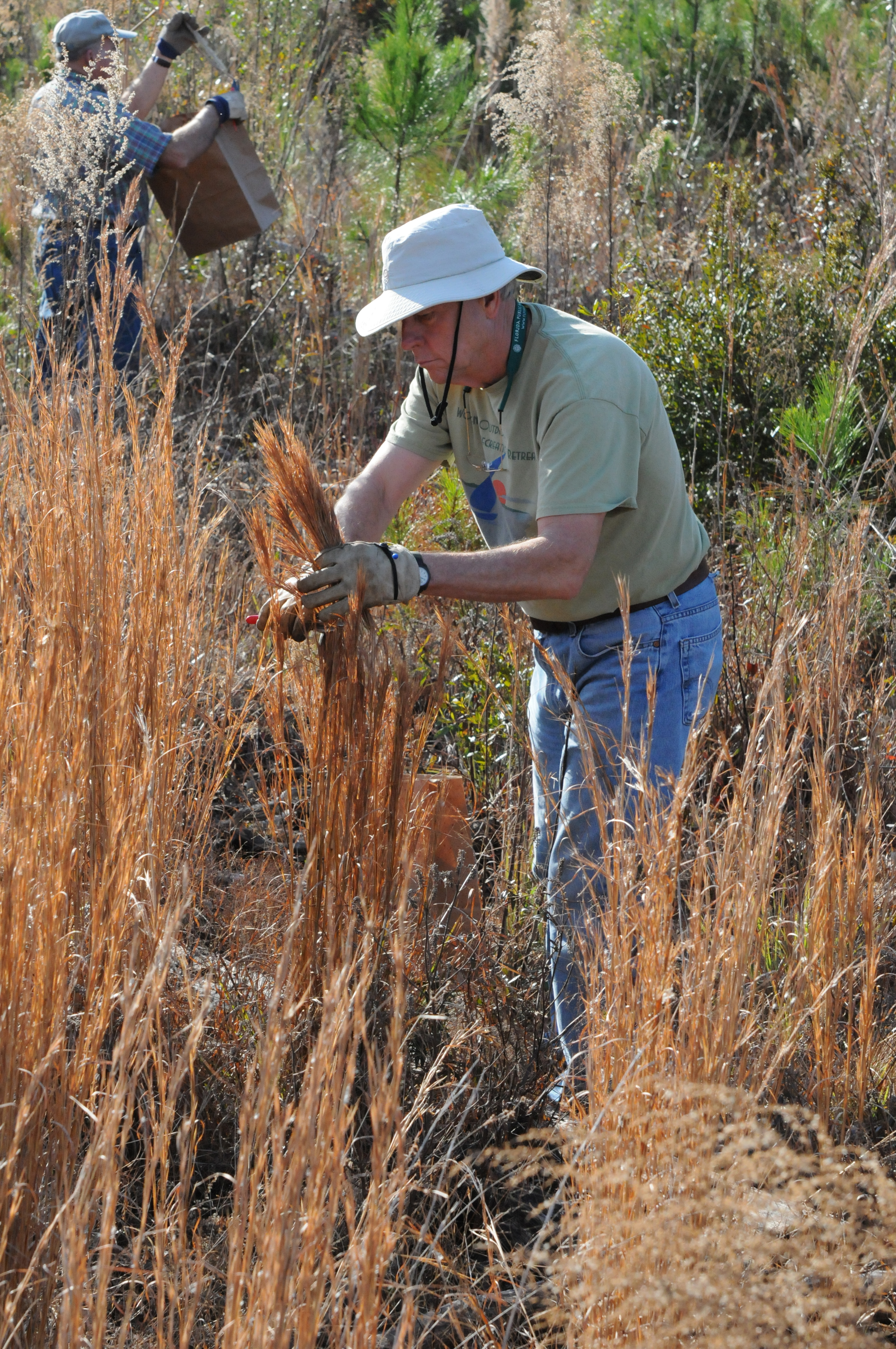 volunteerfbf.jpg | Audubon South Carolina